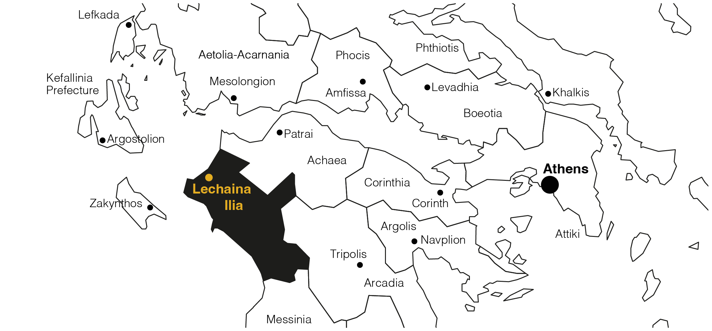 About - NOSTIMO OLIVE OIL